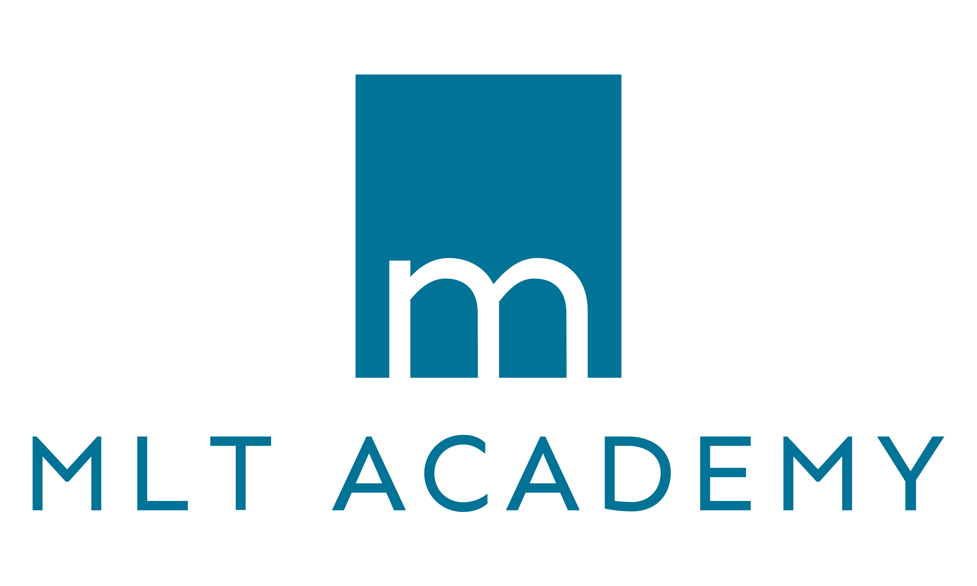 Leadership Trainings and Presentation Trainings. MLT Academy